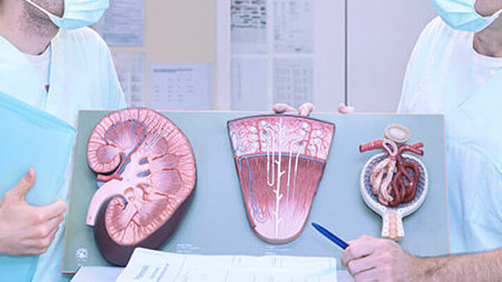 Behandlung von Erkrankungen der Nieren: Nephrologie | NÜRNBERG
